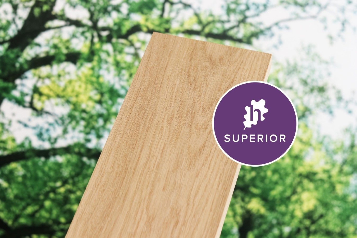 Hewins Superior Grade Oak – Exceptional Quality for Prestigious Projects